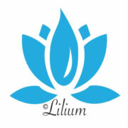 Douchecabine kwartrond Pista chroom - Sanitairkiezer